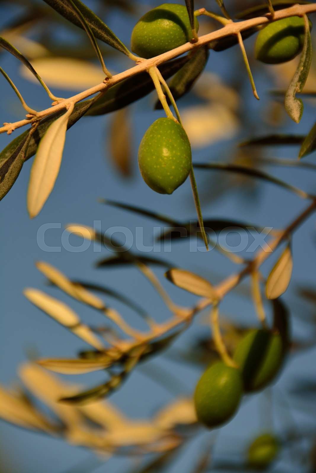 Når man er på sommerferie i Grækenland eller et andet land i sydeuropa ...