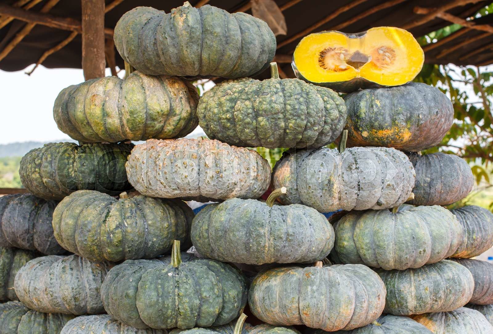 freh thai pumpkins | Stock image | Colourbox