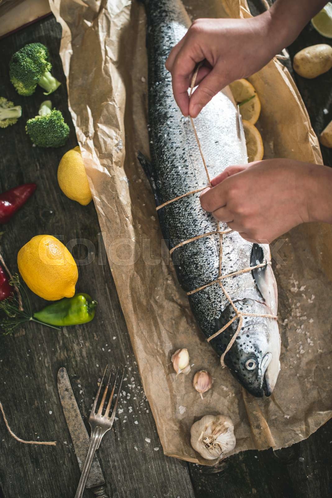 Tying a rope on samon fish | Stock image | Colourbox