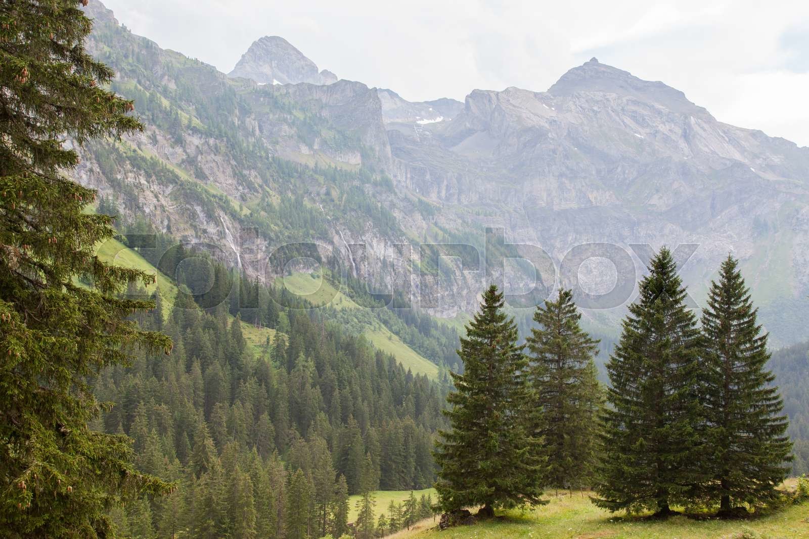 Typical view of the Swiss alps | Stock image | Colourbox