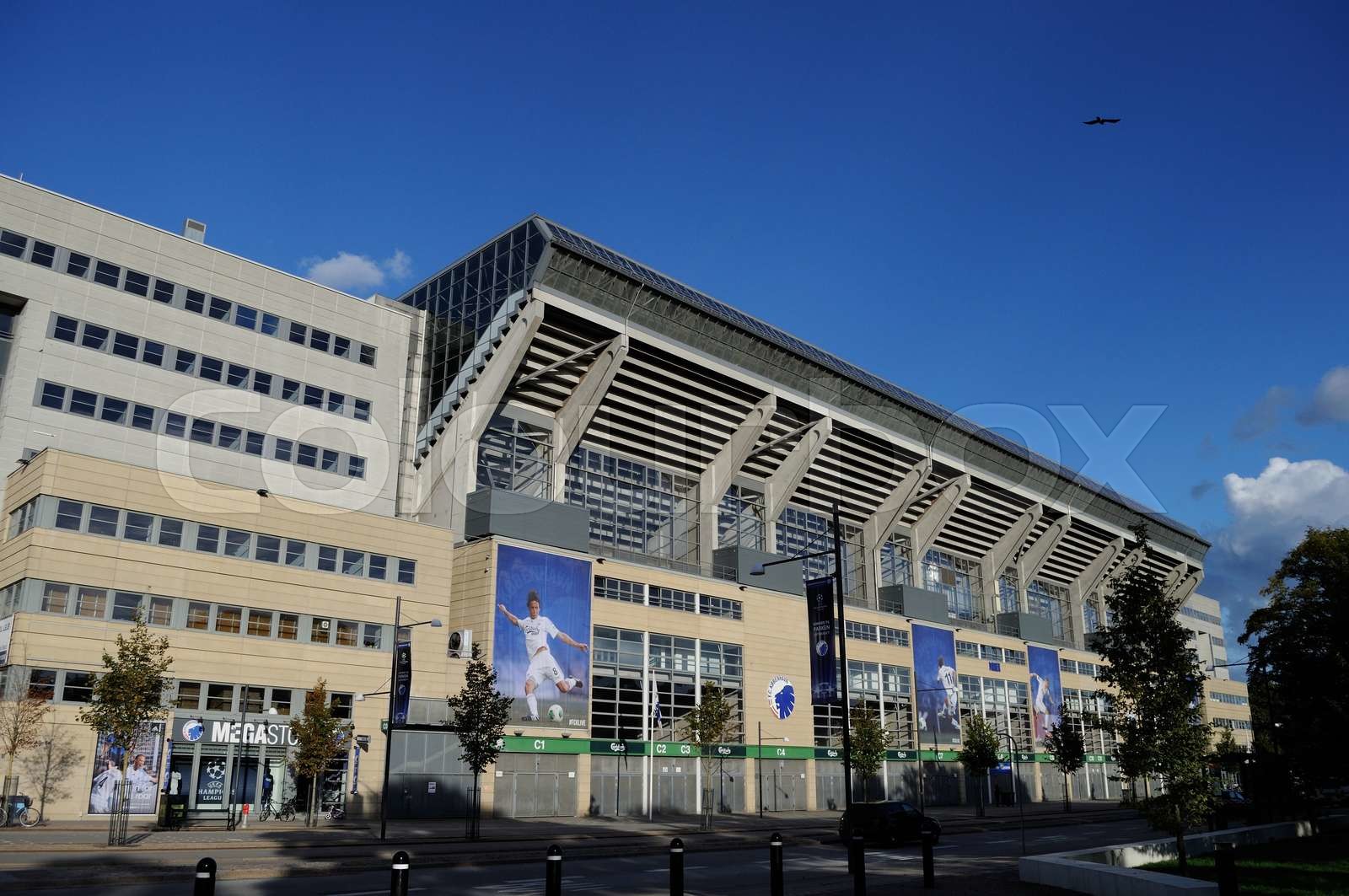 fodbol, stadium, fodbold | Stock image | Colourbox