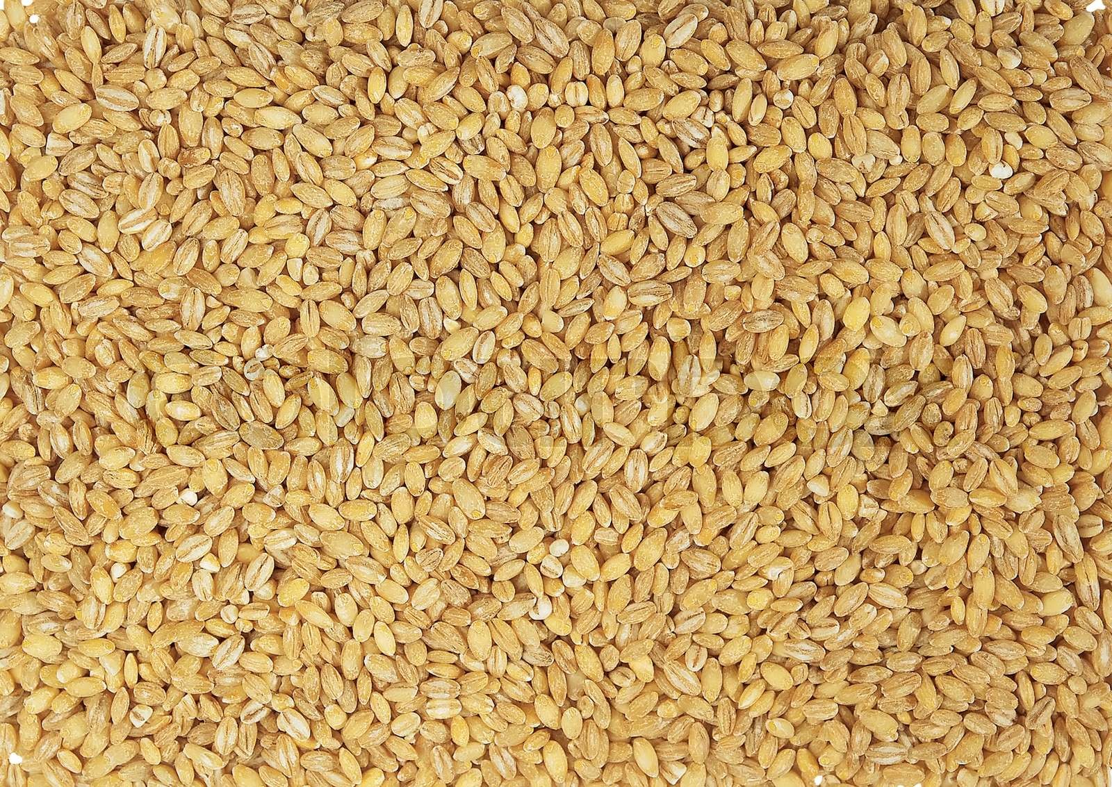 Wheat grains background | Stock image | Colourbox