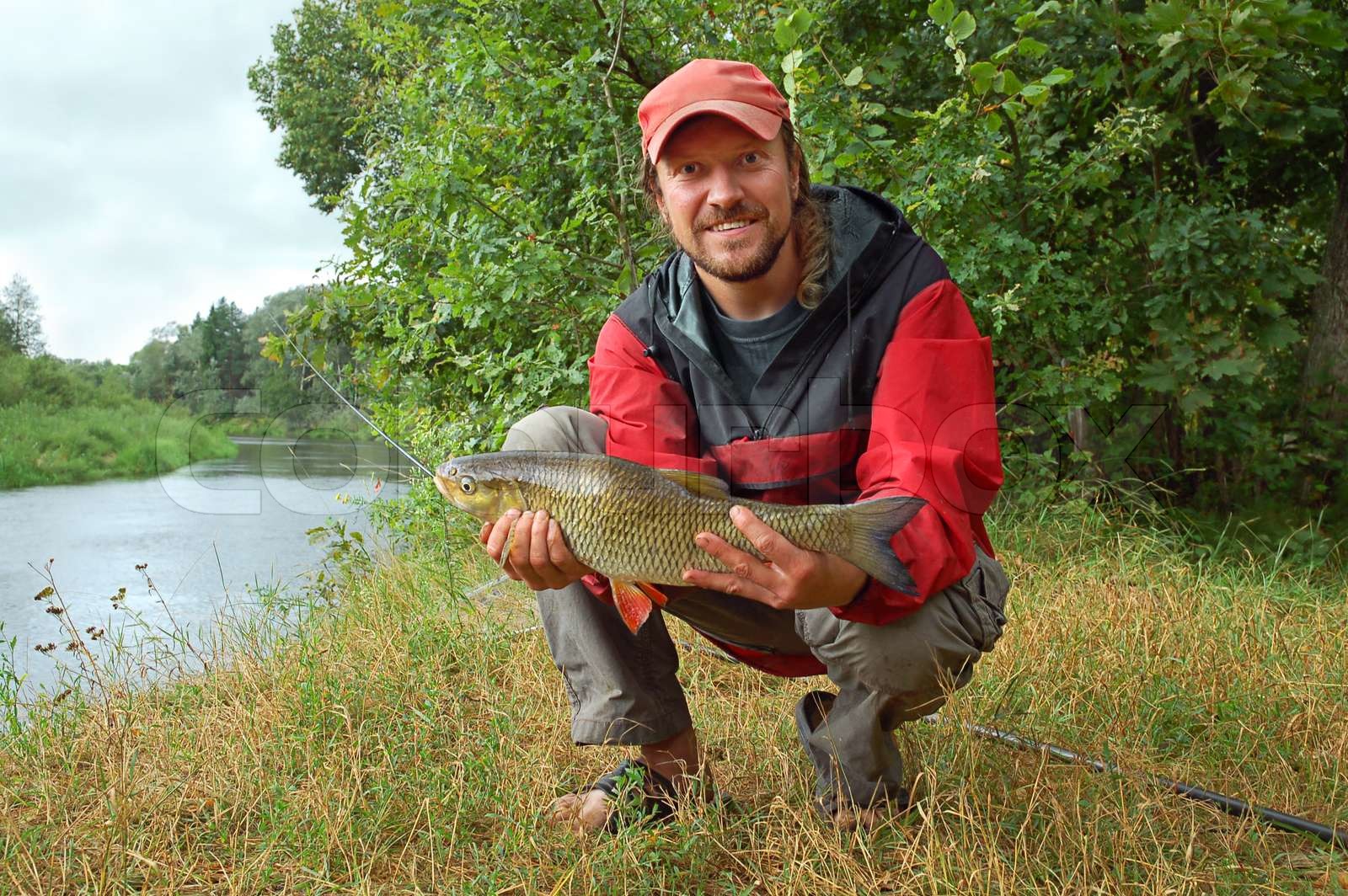 Fisherman holding a rudd fish on the shoreline of a river | Stock image ...