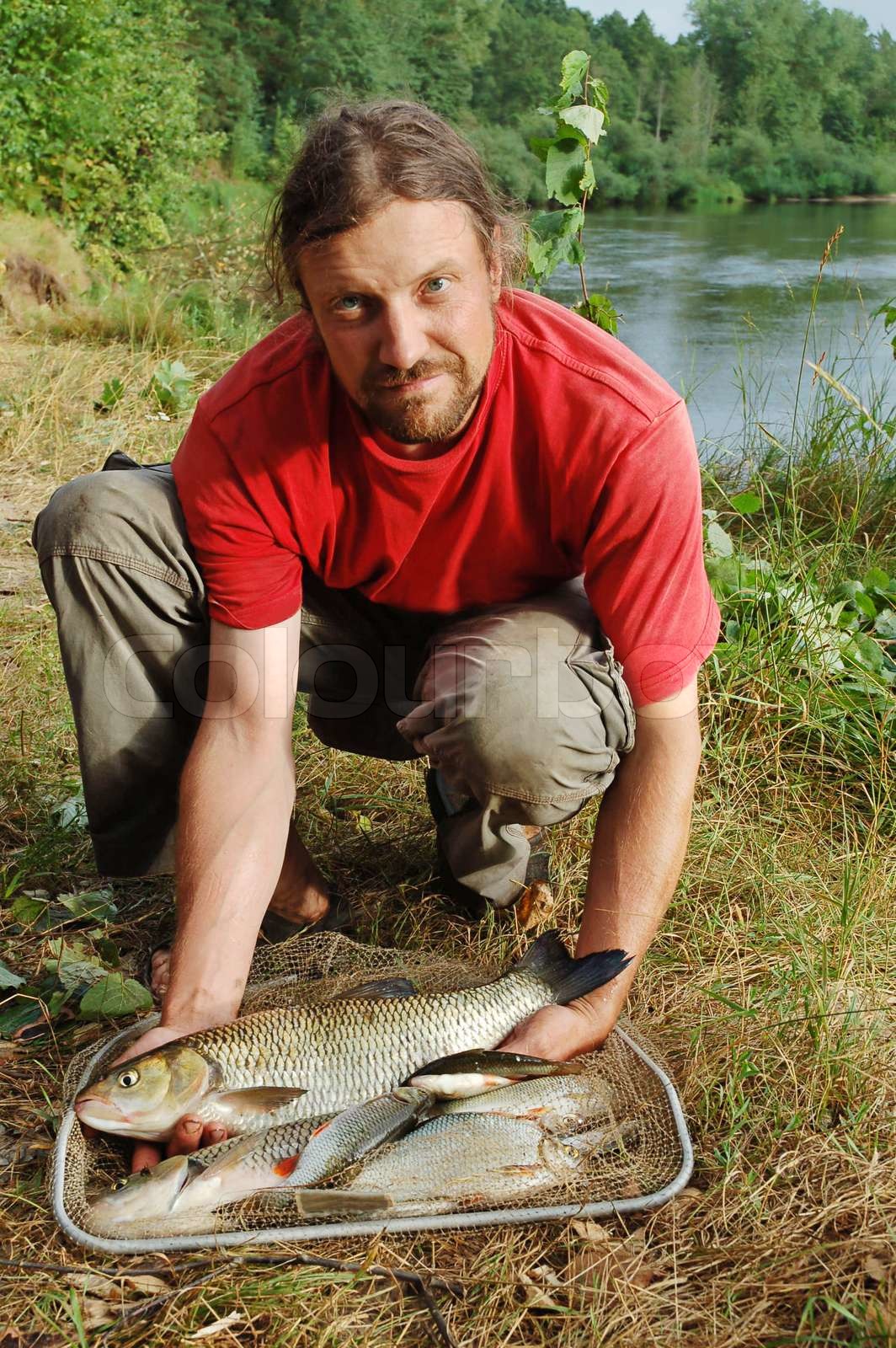 Fisherman holding a rudd fish on the shoreline of a river | Stock image ...