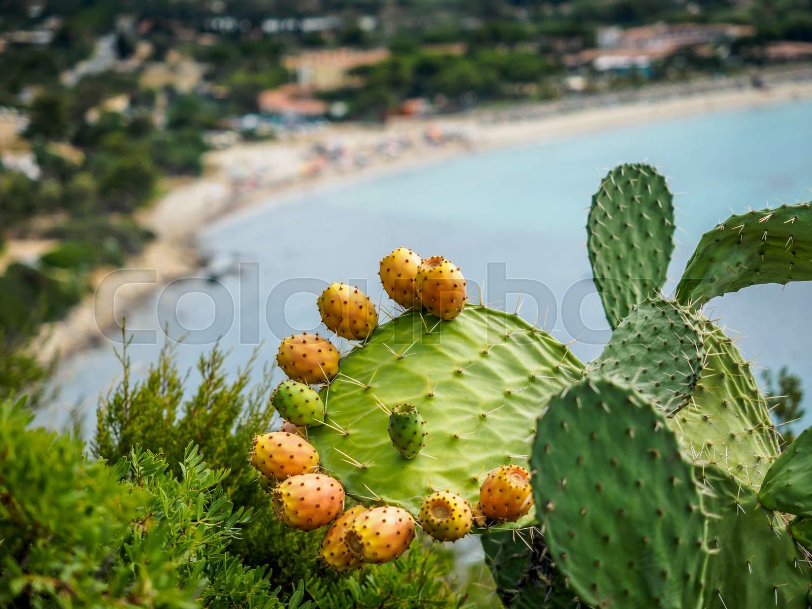 Sardinia Landscape | Stock image | Colourbox