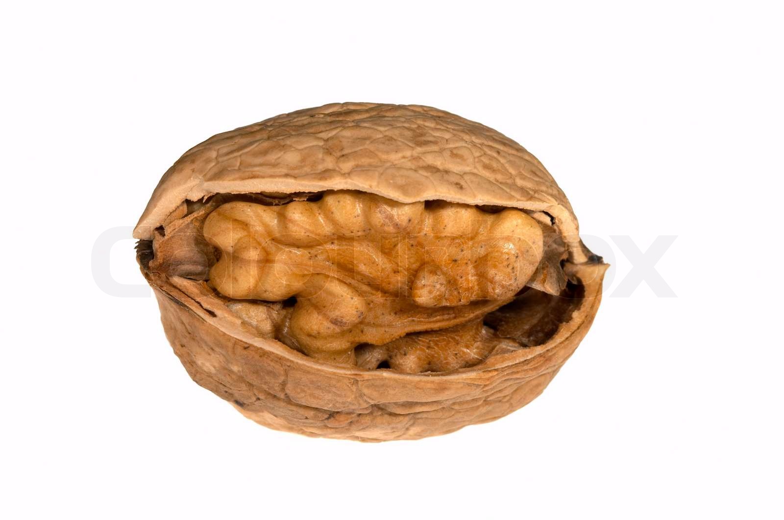 Walnut with cracked shell and kernel inside | Stock image | Colourbox