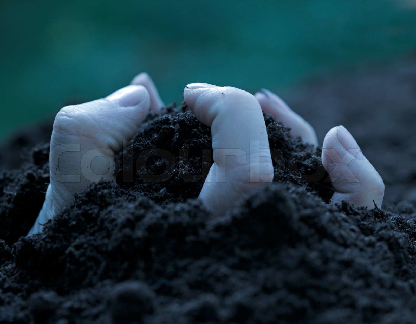 Hand emerging from the ground trough the soil | Stock image | Colourbox
