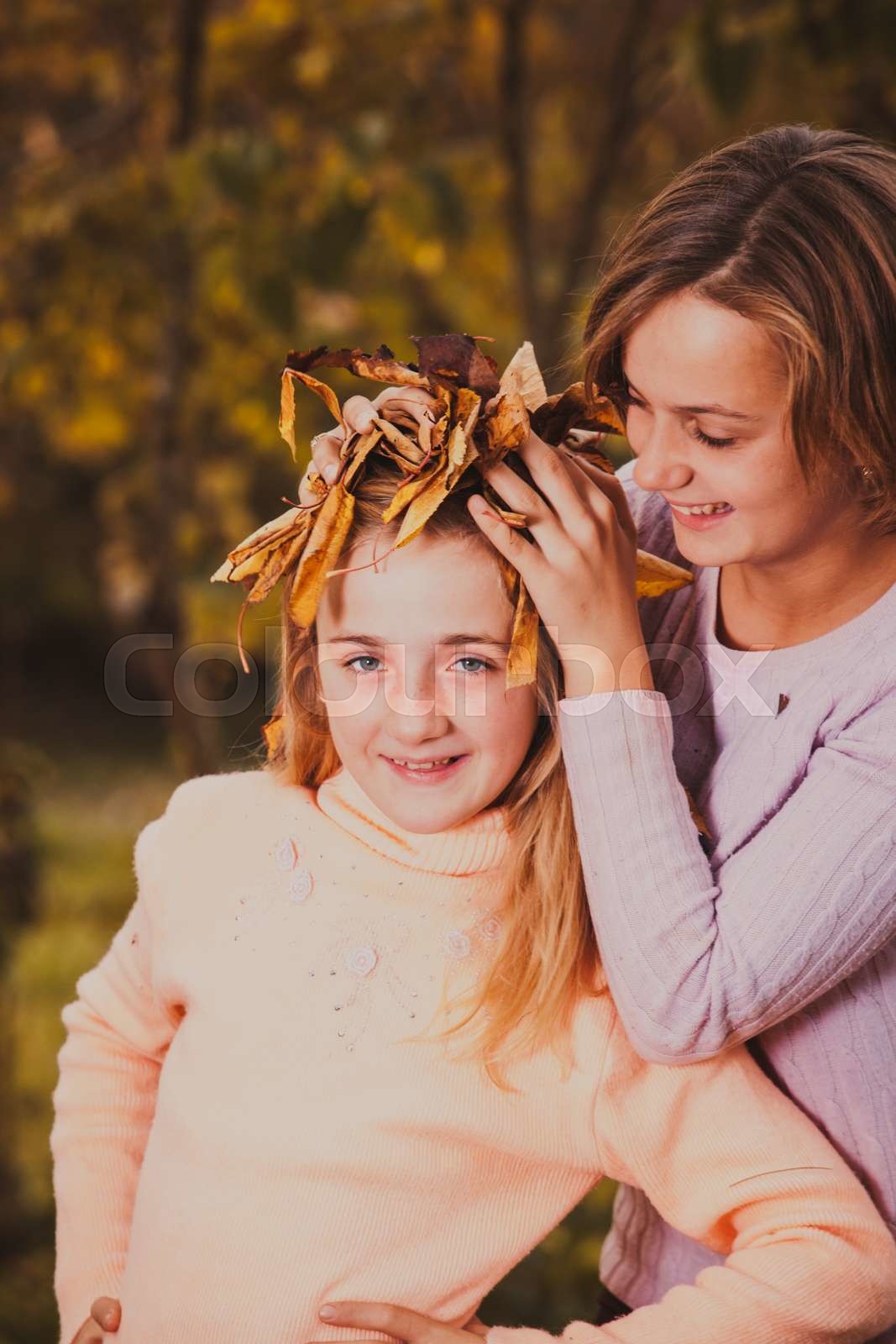 Sisters Playing With Leaves Stock Image Colourbox