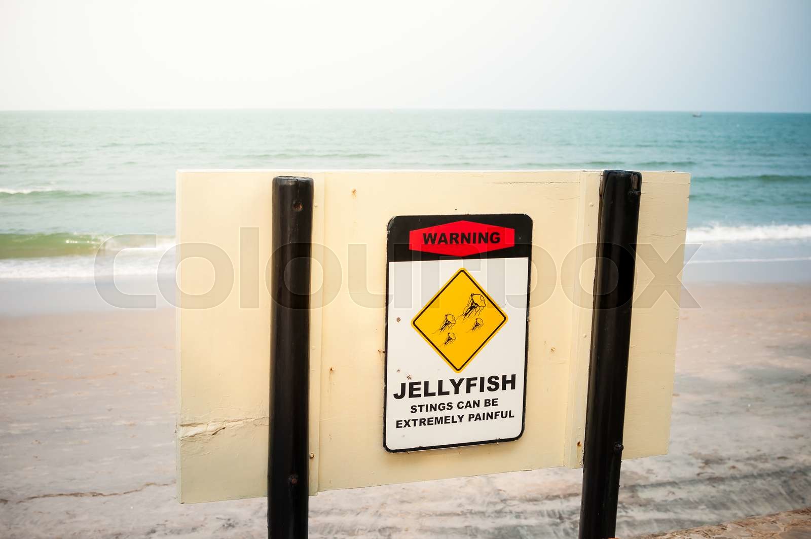 Jellyfish warning sign. | Stock image | Colourbox