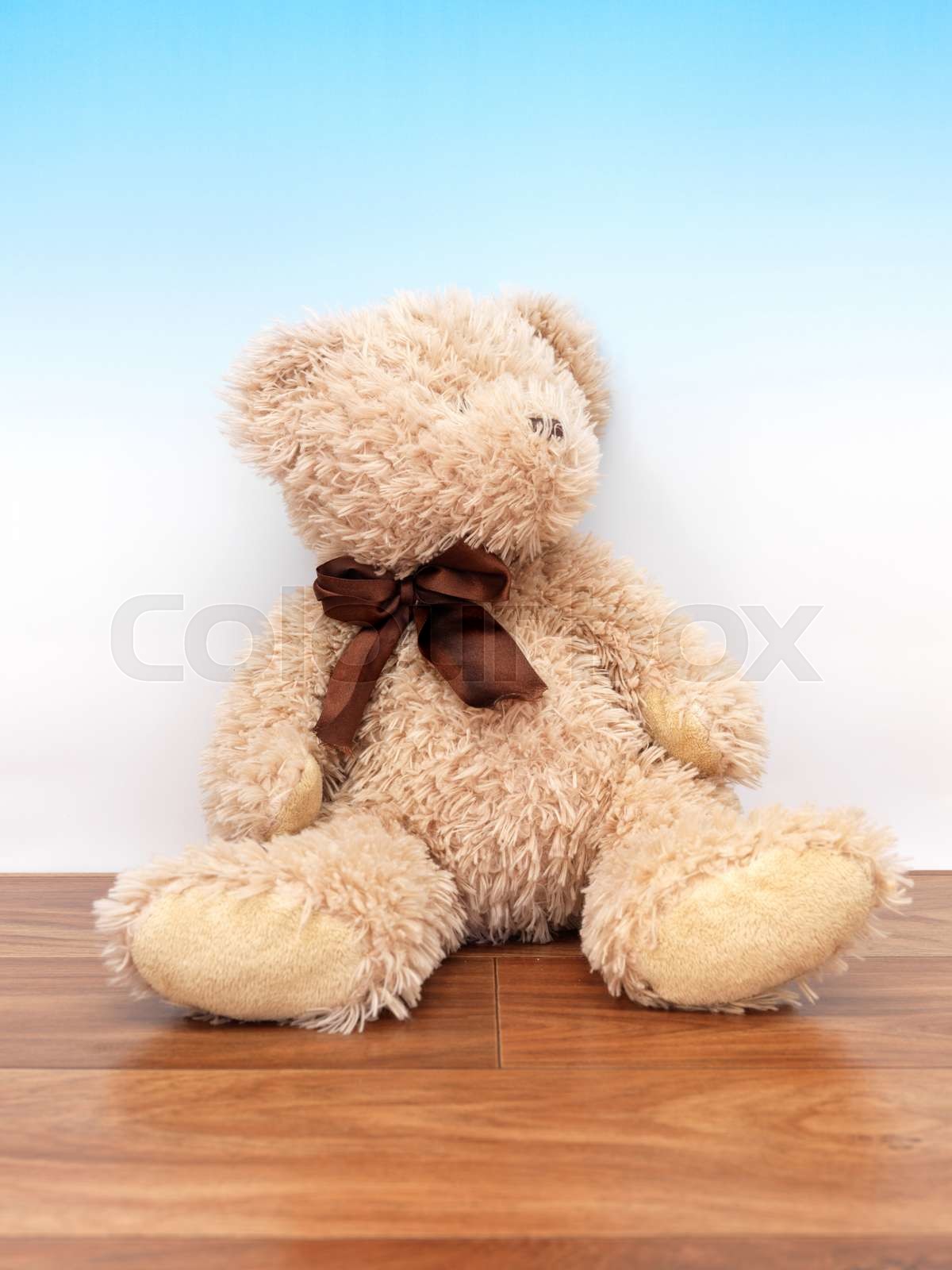 Ted | Stock image | Colourbox