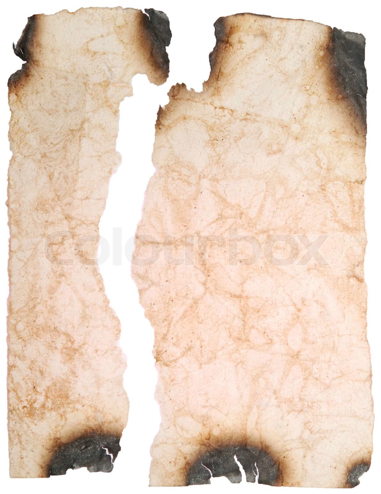 vintage old paper page with burnt edges on a white | Stock image ...