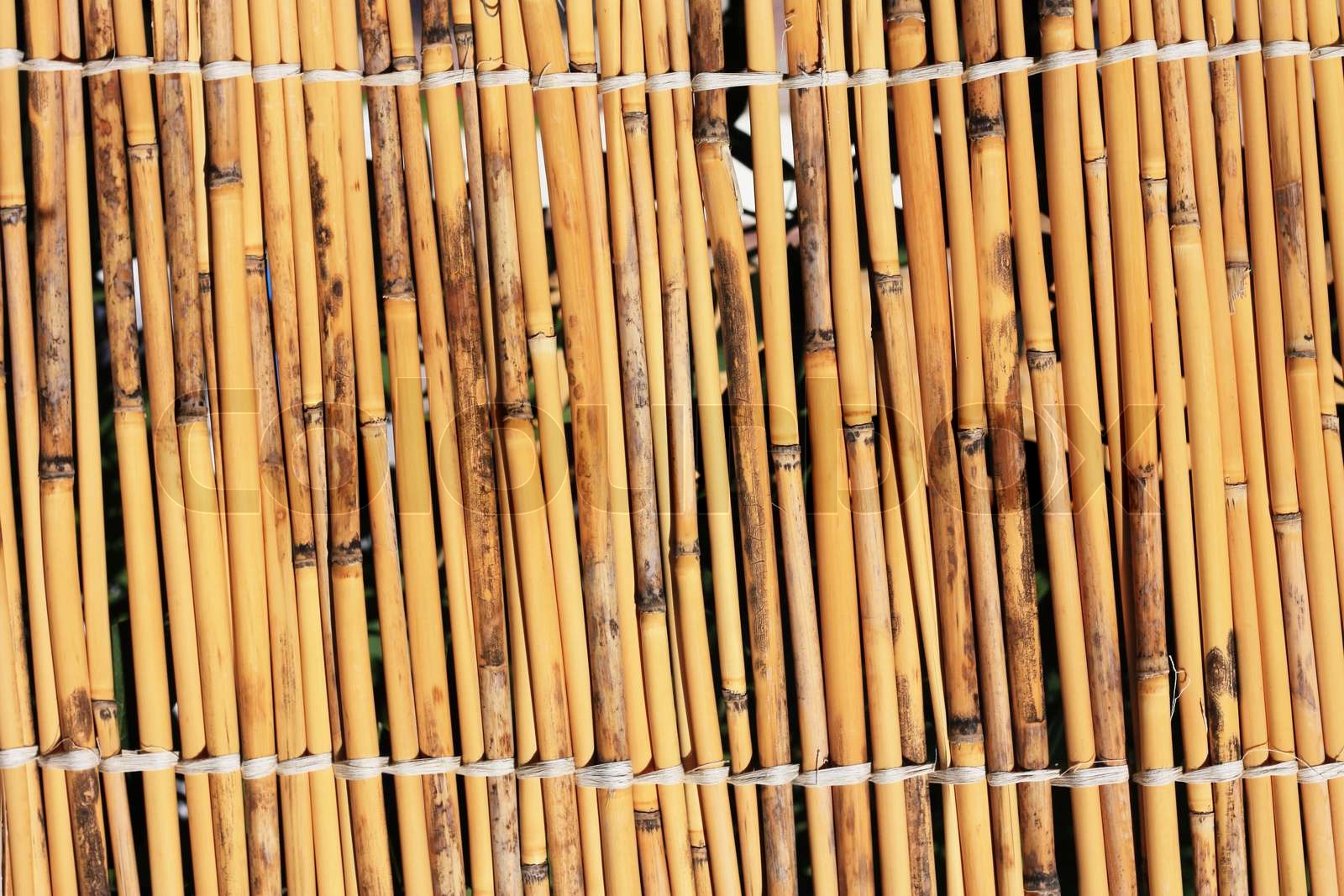 Cane texture | Stock image | Colourbox