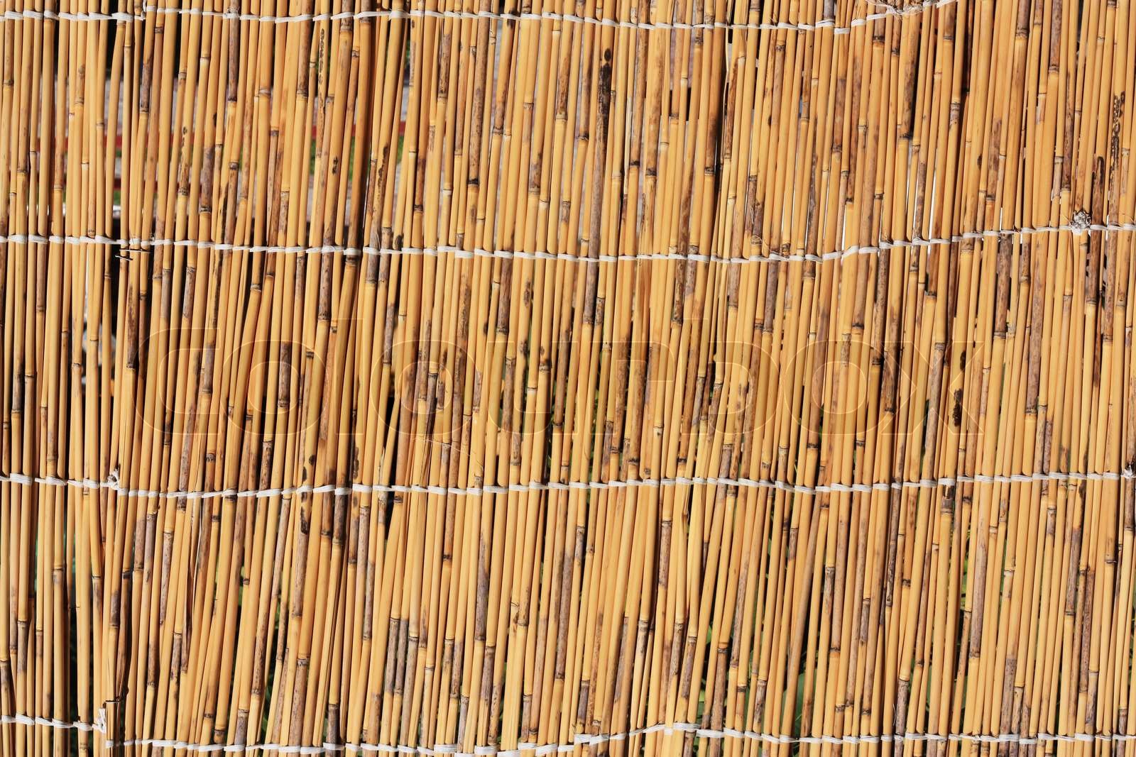 Cane texture | Stock image | Colourbox