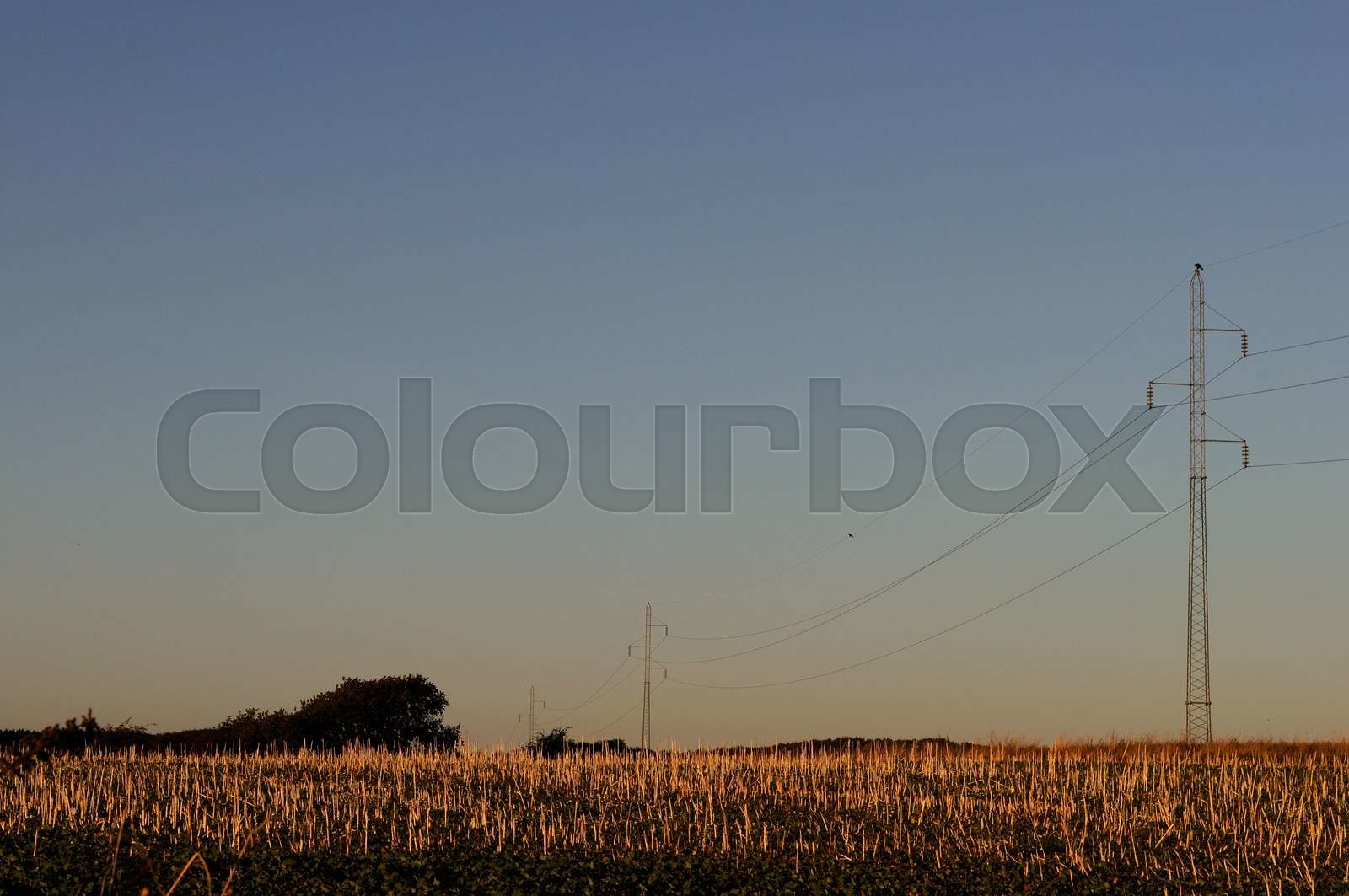ørslev, elledning, ledning | Stock image | Colourbox