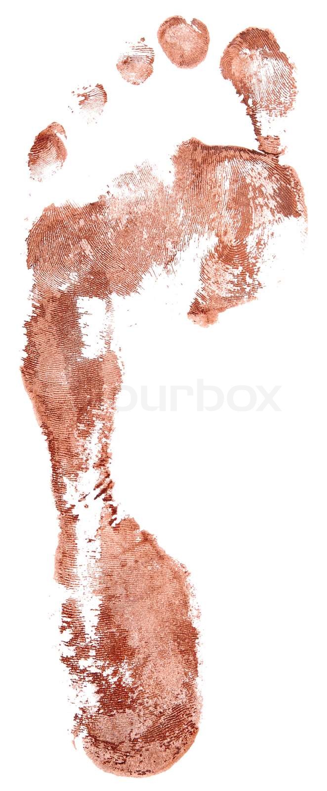 brown footprint isolated on a white | Stock image | Colourbox