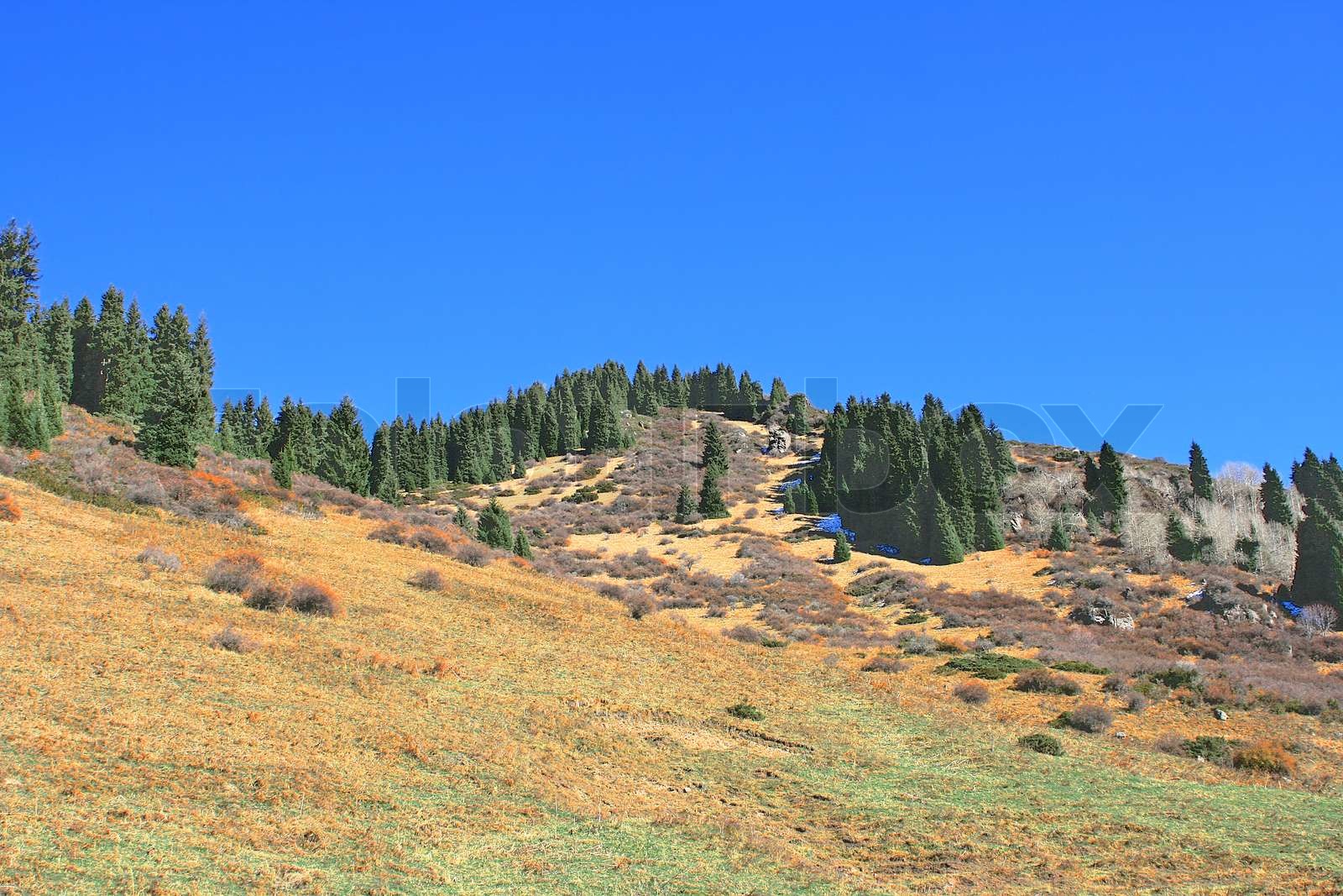 Mountain landscape, Central Asia, Kazakhstan | Stock image | Colourbox