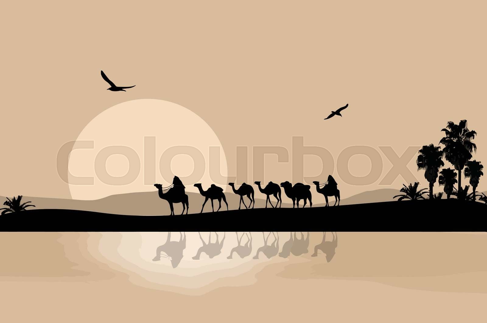 Camel Caravan Vector