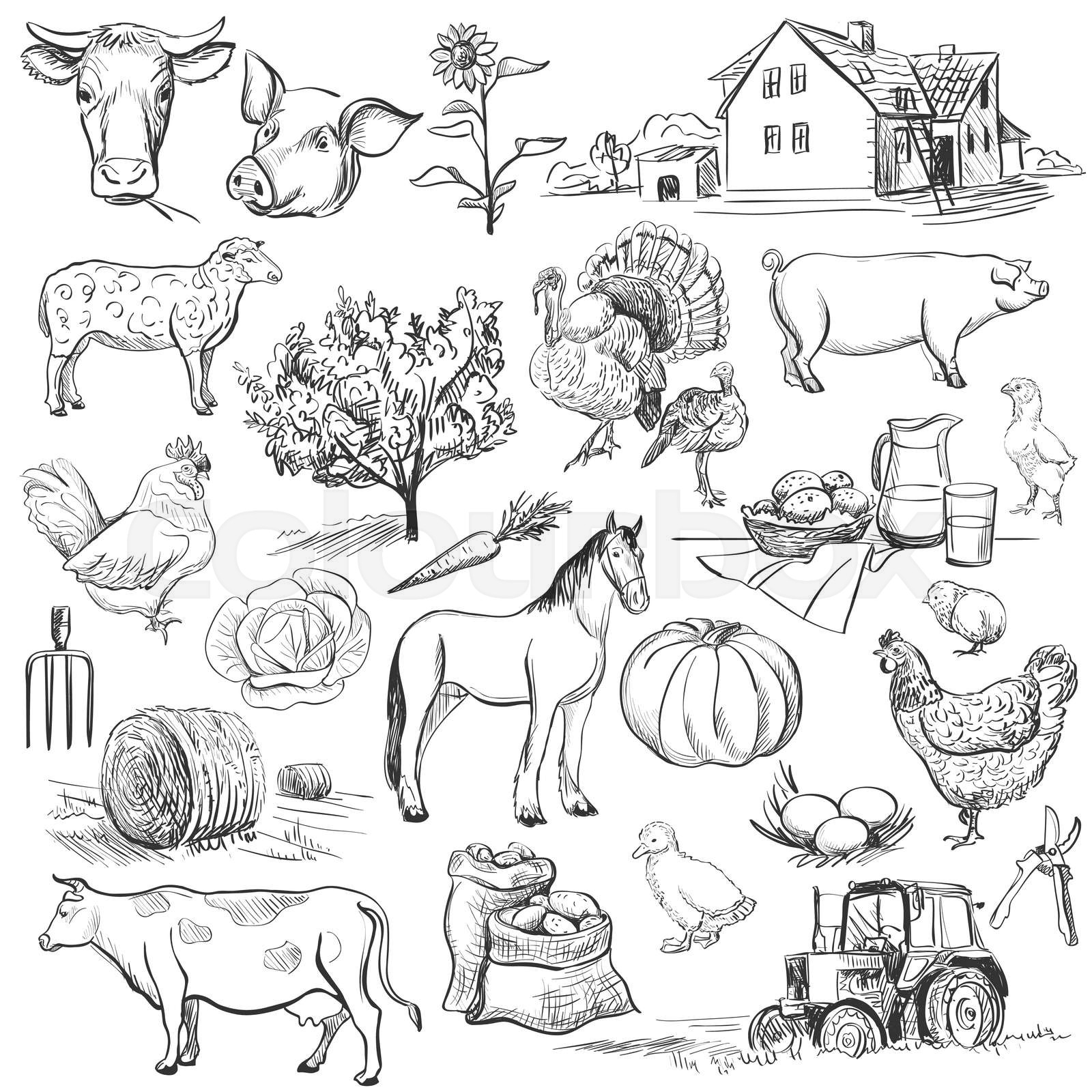 Farm collection - hand drawn set | Stock vector | Colourbox