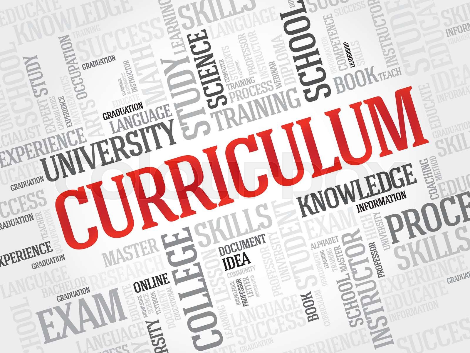 Curriculum | Stock vector | Colourbox