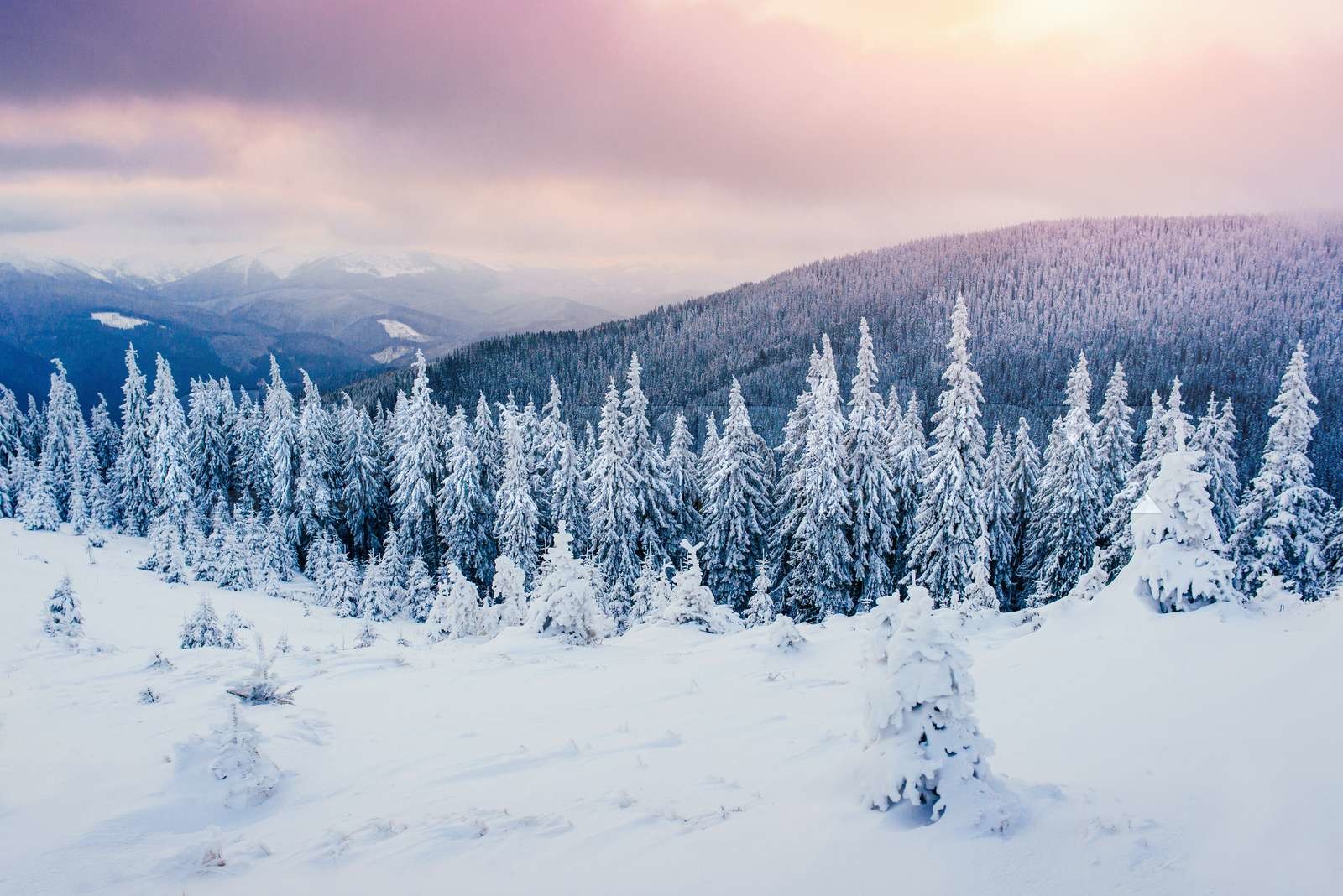 winter landscape trees in frost | Stock image | Colourbox