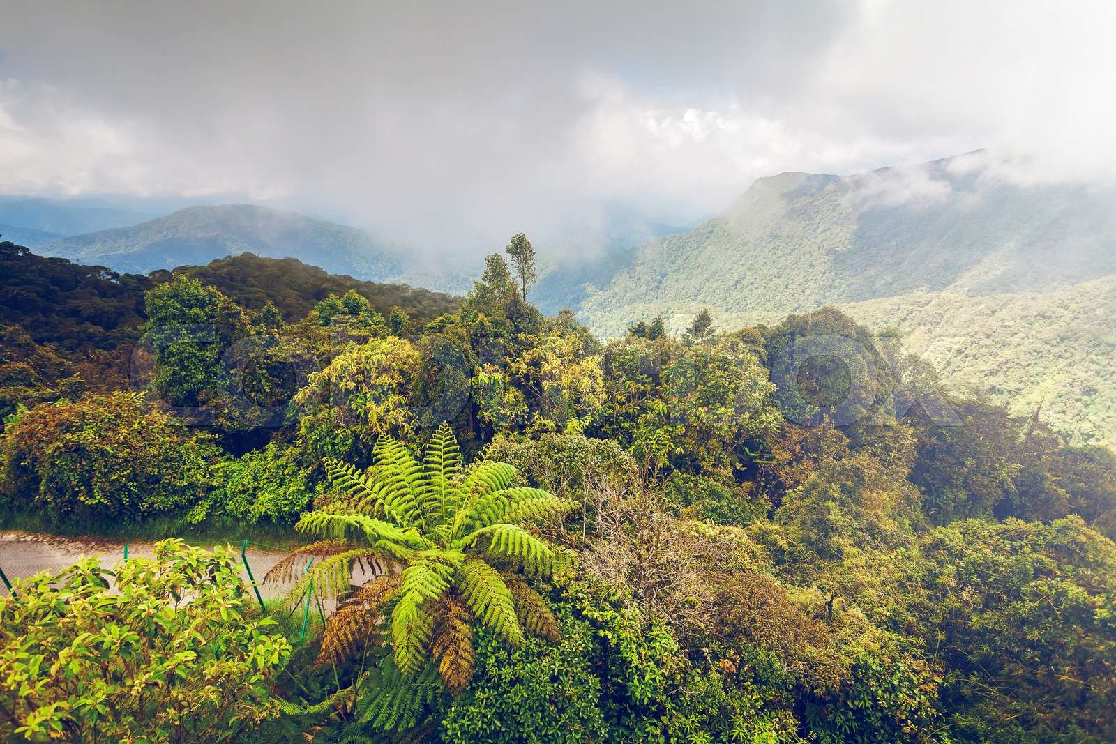 mountains landscape in Cameron highlands | Stock image | Colourbox