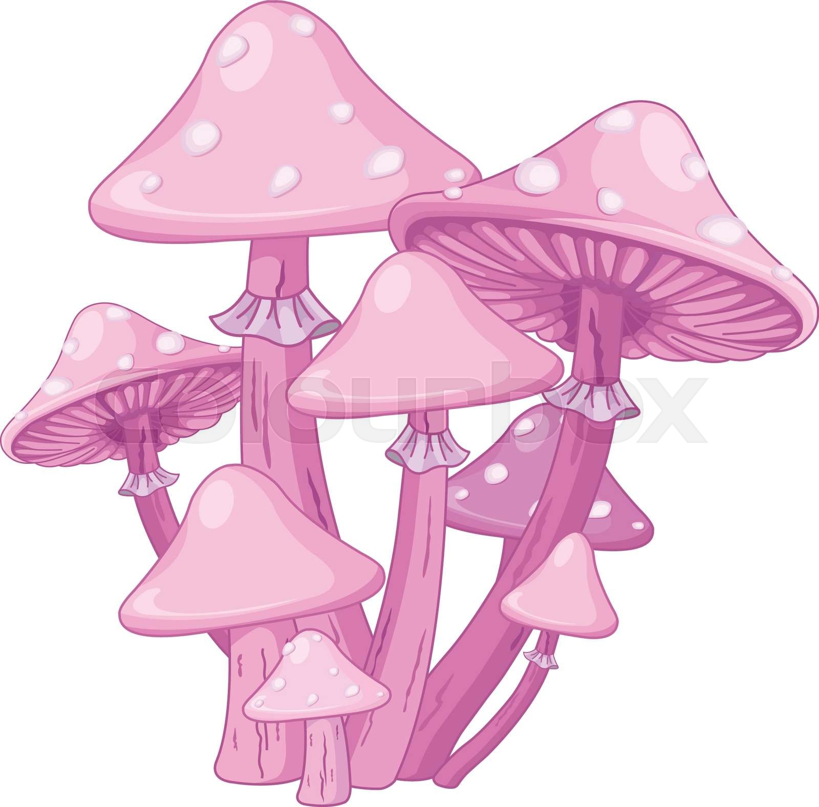 Magic Toadstools | Stock vector | Colourbox