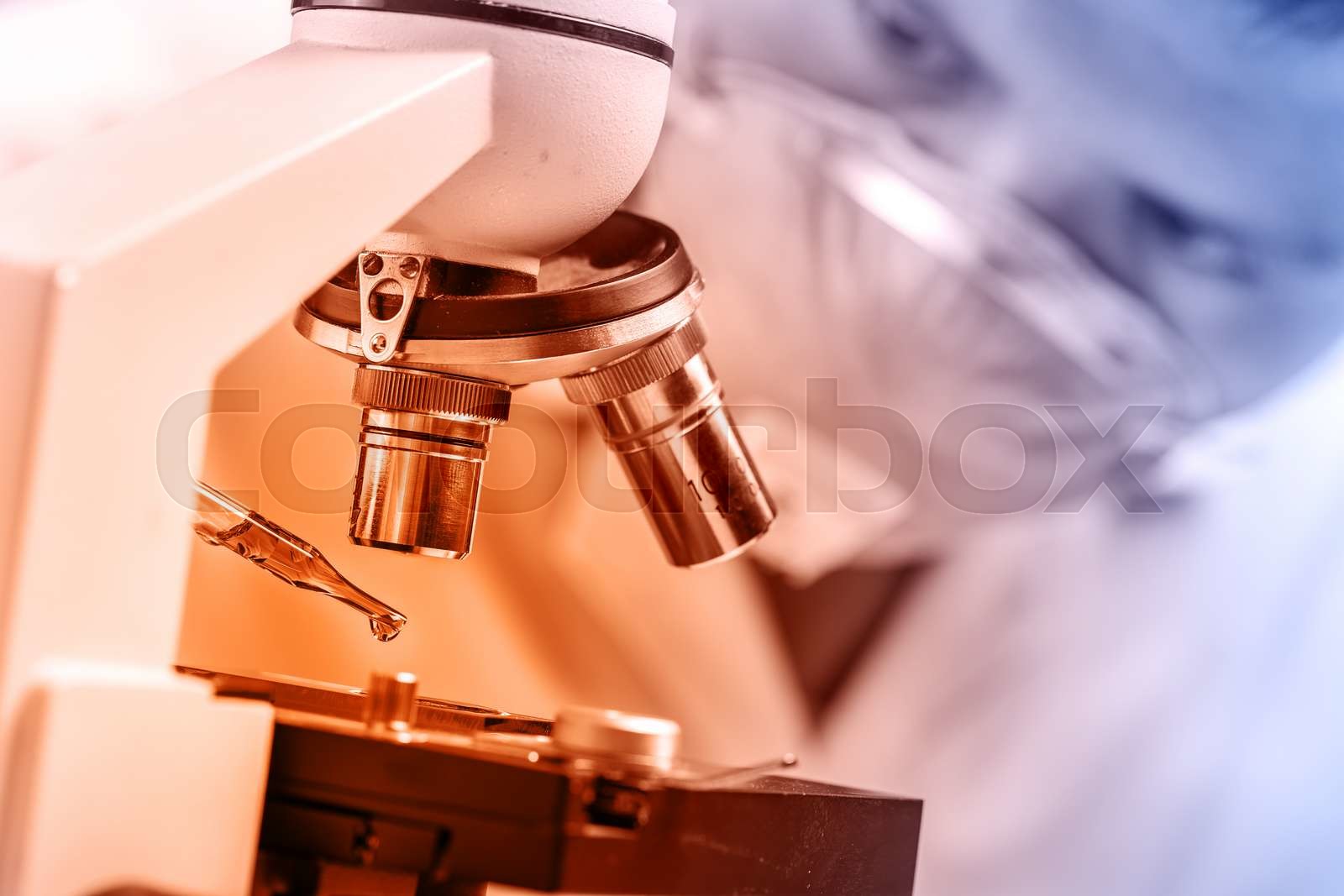 Hands of clinician holding tools during scientific experiment in ...