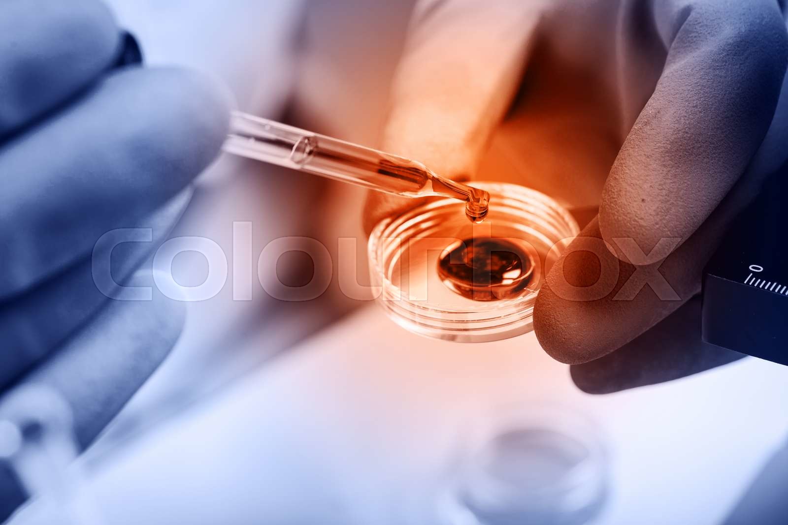 Hands of clinician holding tools during scientific experiment in ...