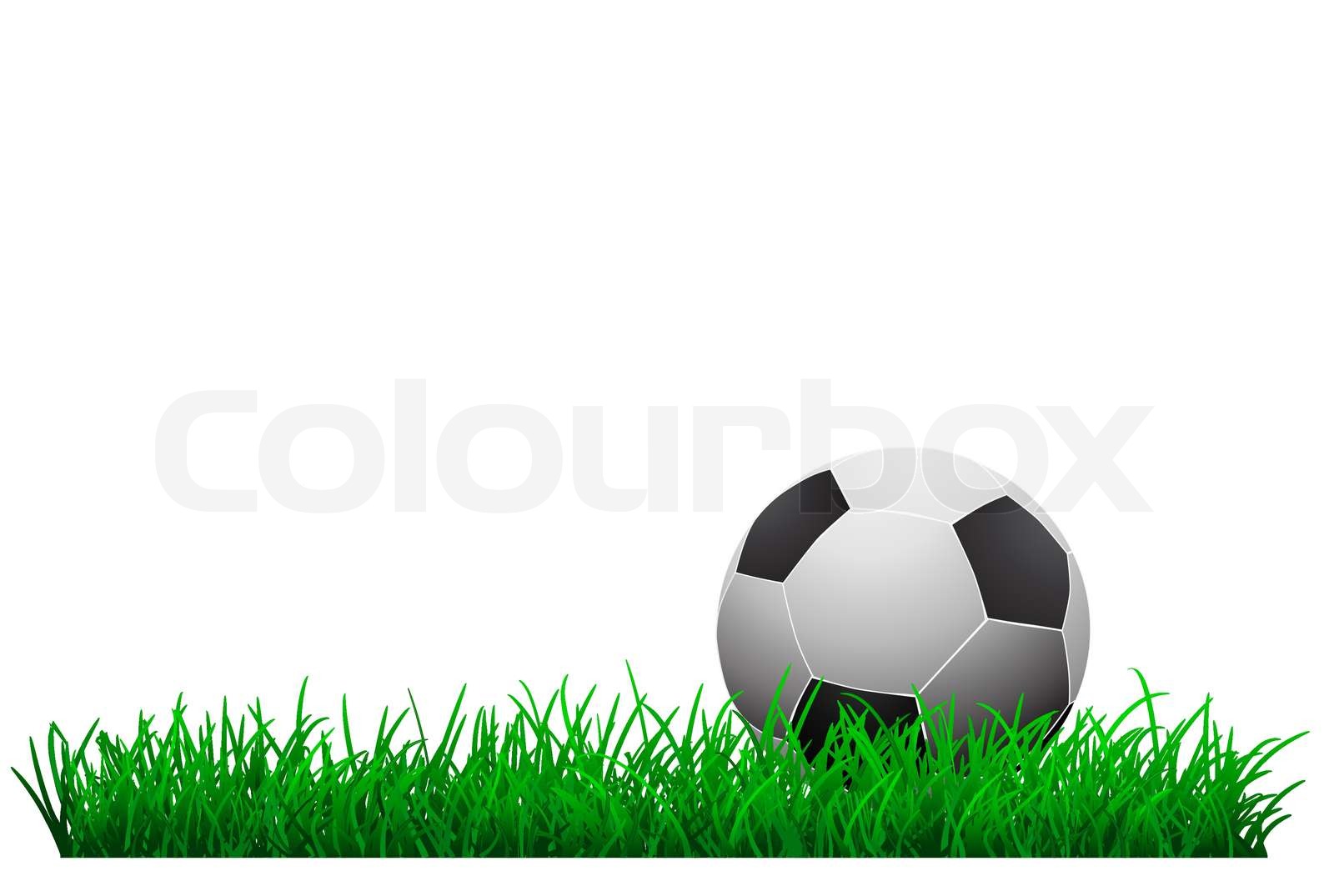 vector football in green grass | Stock vector | Colourbox