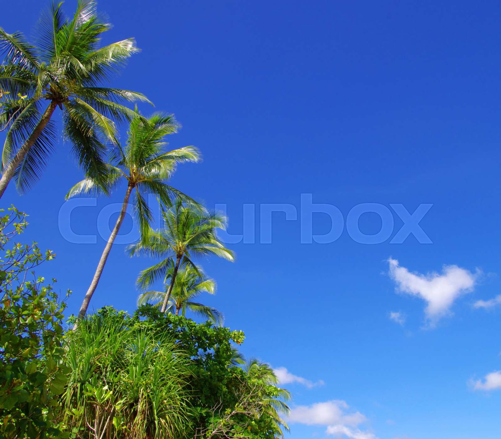 baggrund, himmel, paradis | Stock foto | Colourbox