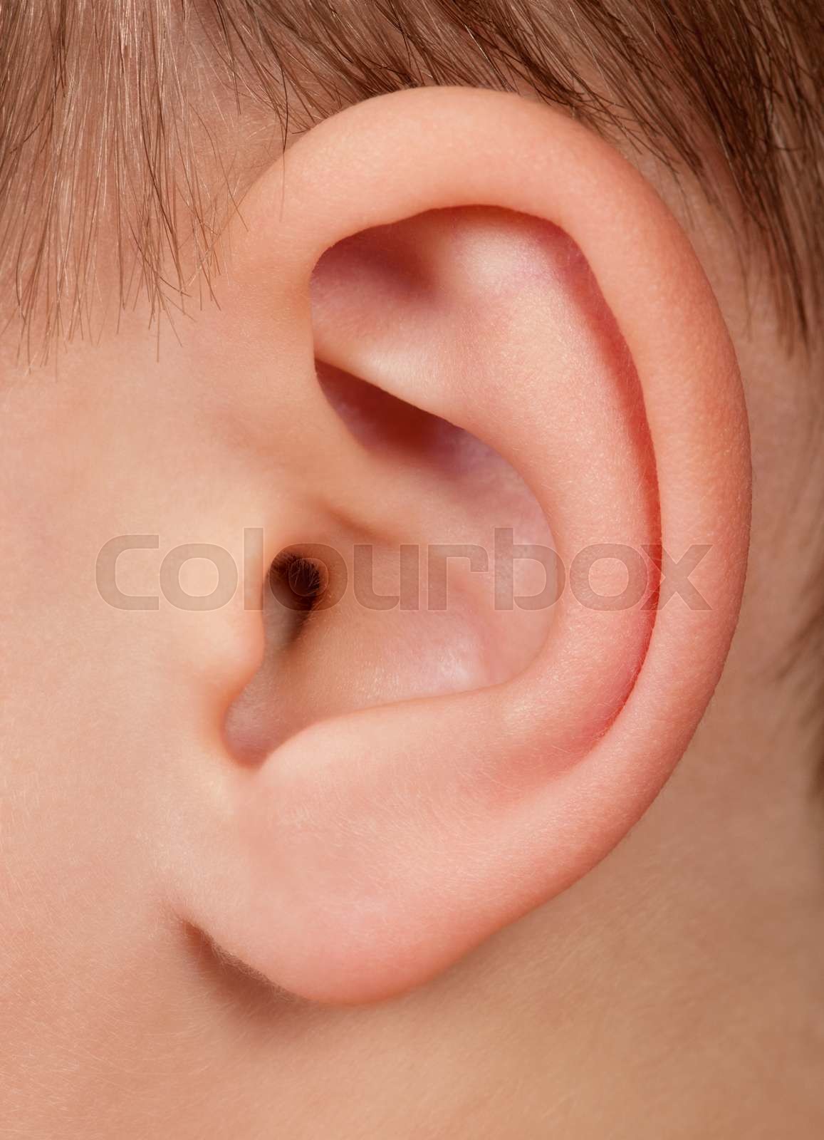 Child ear | Stock image | Colourbox