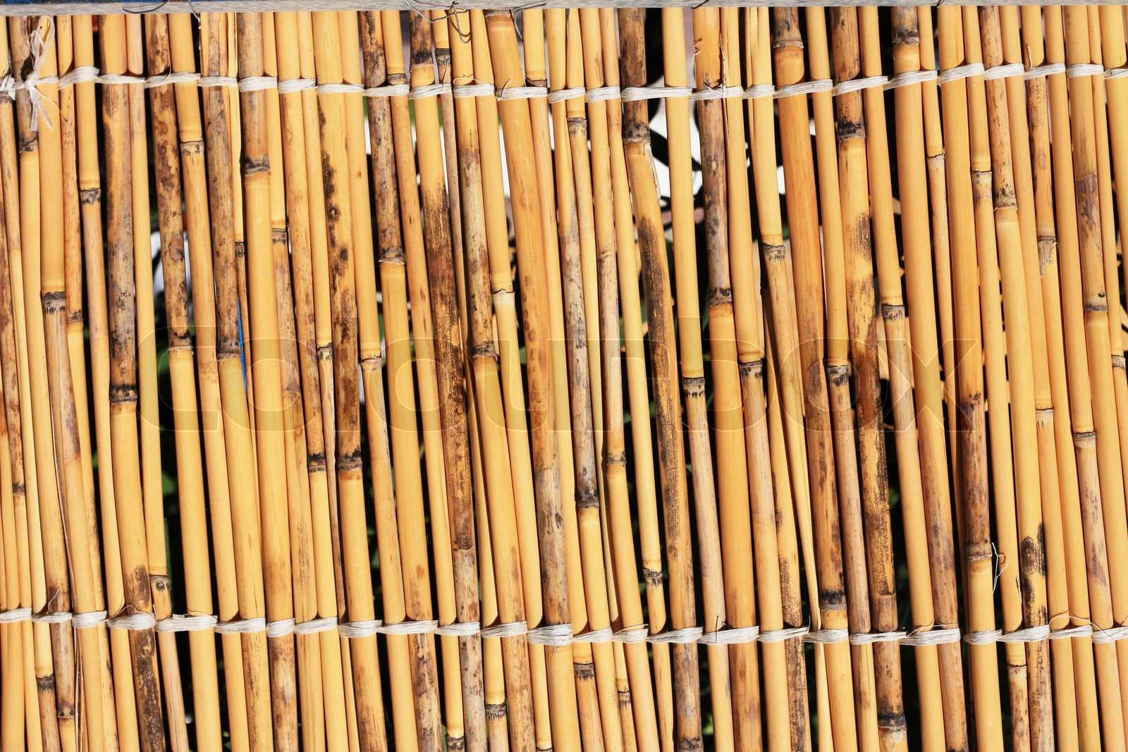 Cane texture | Stock image | Colourbox