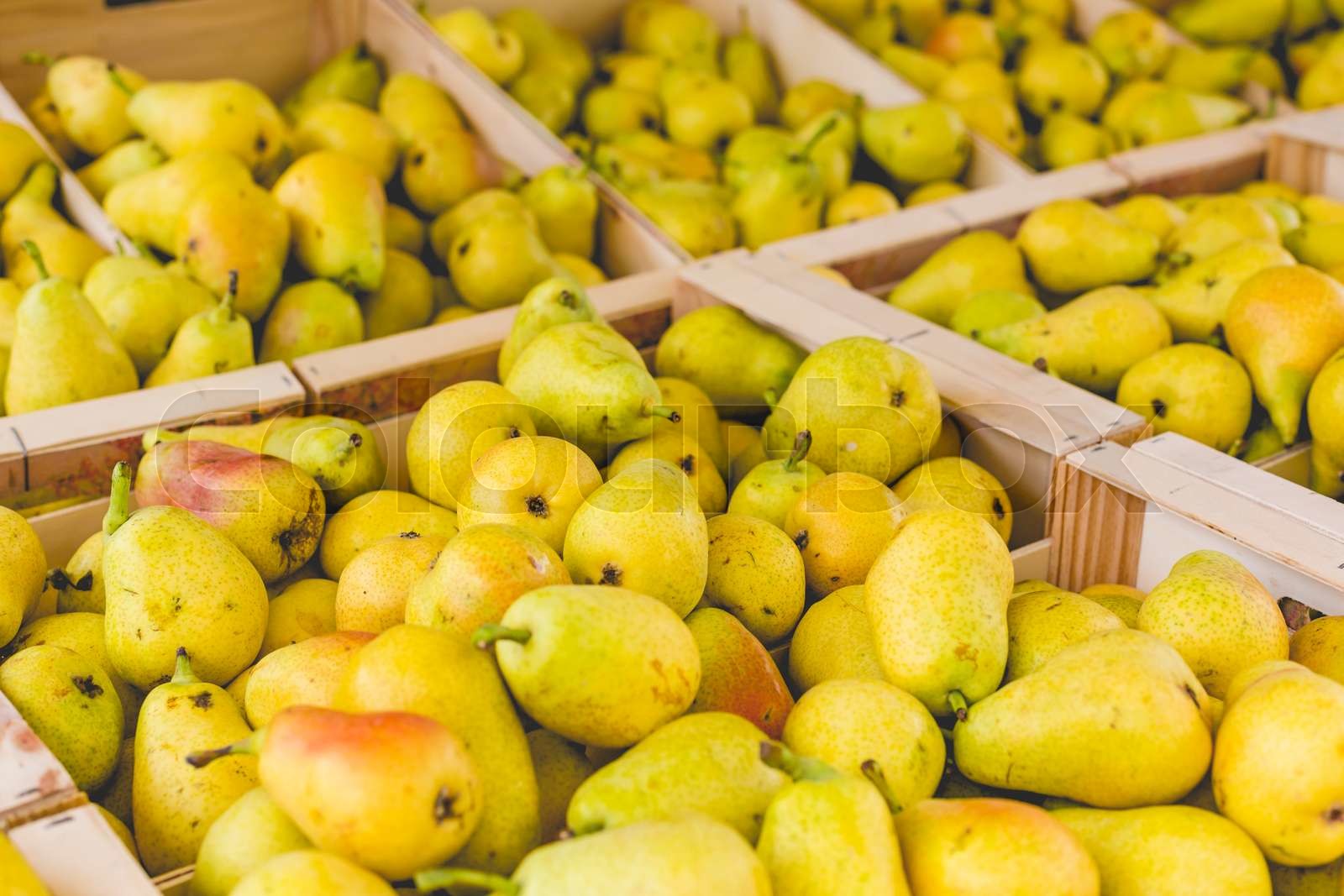 Fresh Bartlett pears on display at the farmer's market | Stock image ...