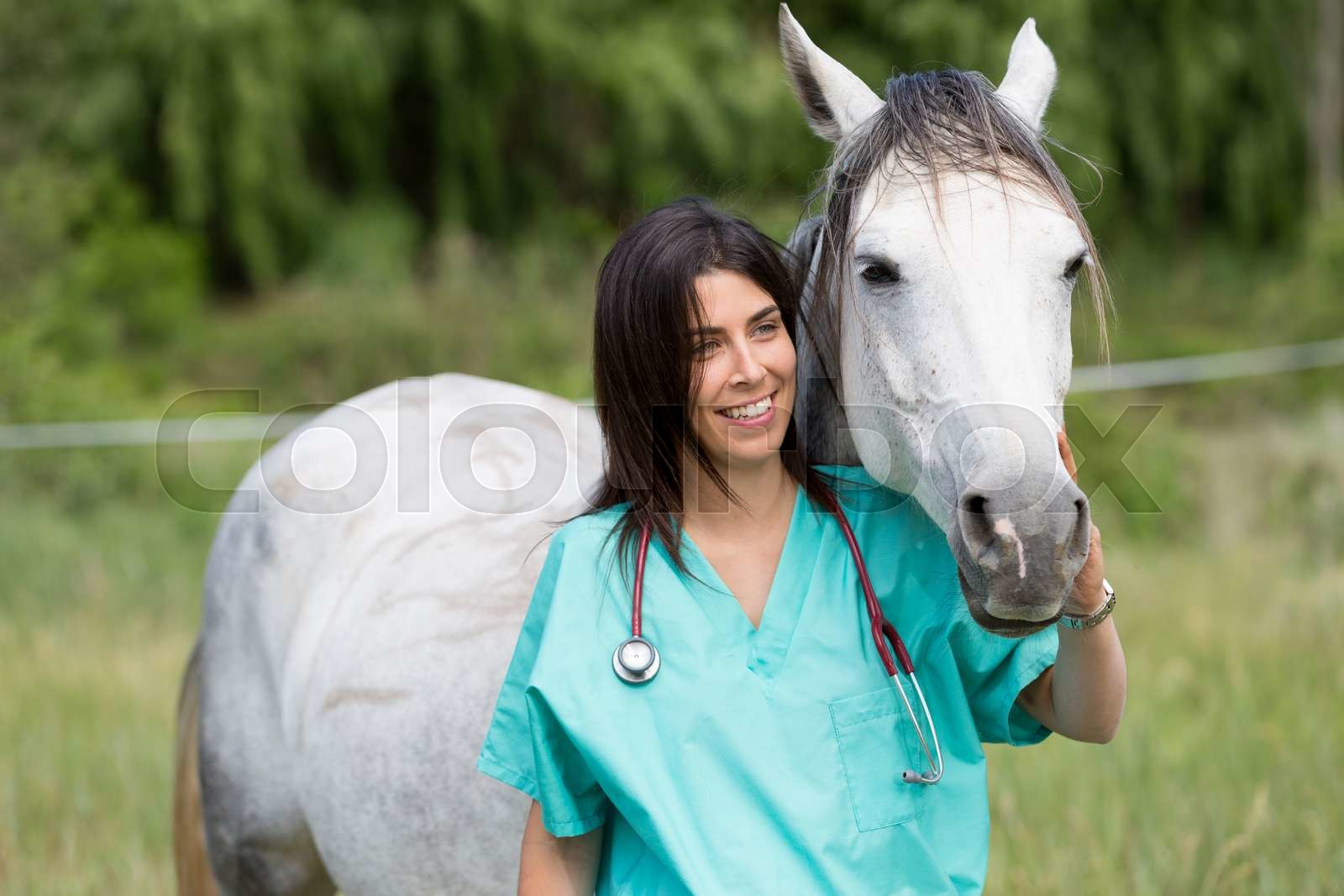 Veterinary on a farm | Stock image | Colourbox