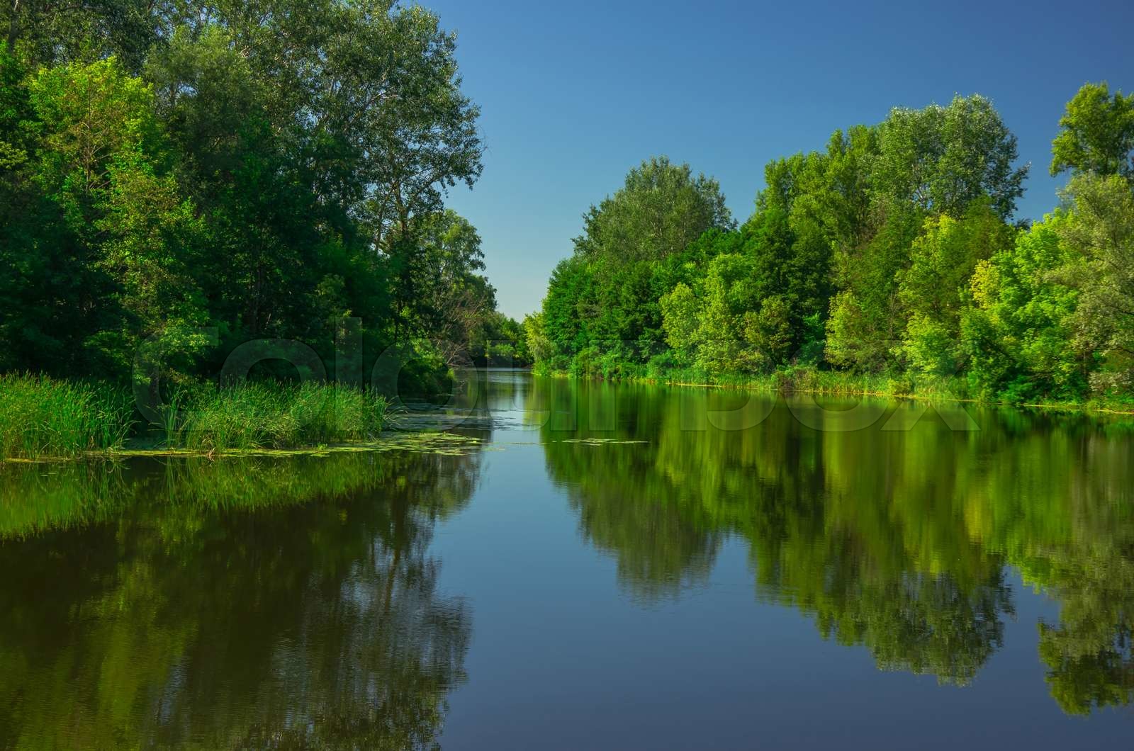 Sunny day on the quiet river | Stock image | Colourbox