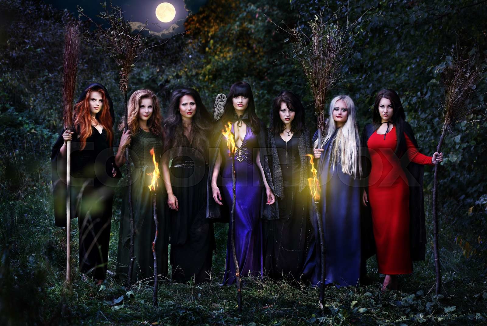 Seven witches in the night forest | Stock image | Colourbox