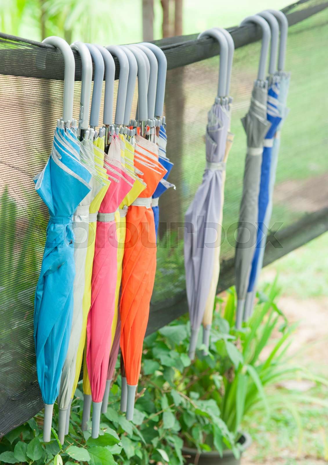 storage of different colors umbrella | Stock image | Colourbox