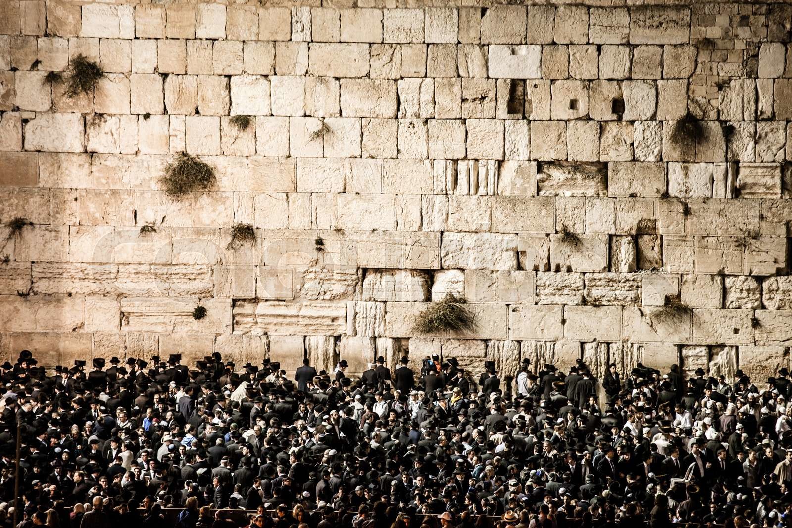 Prayers at the Western Wall, Jerusalem, Israel. | Stock image | Colourbox