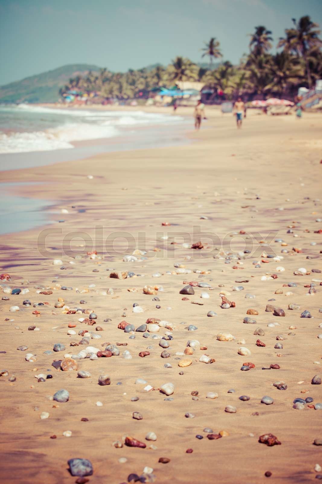 Exiting Anjuna beach panorama on low tide with white wet sand and green ...