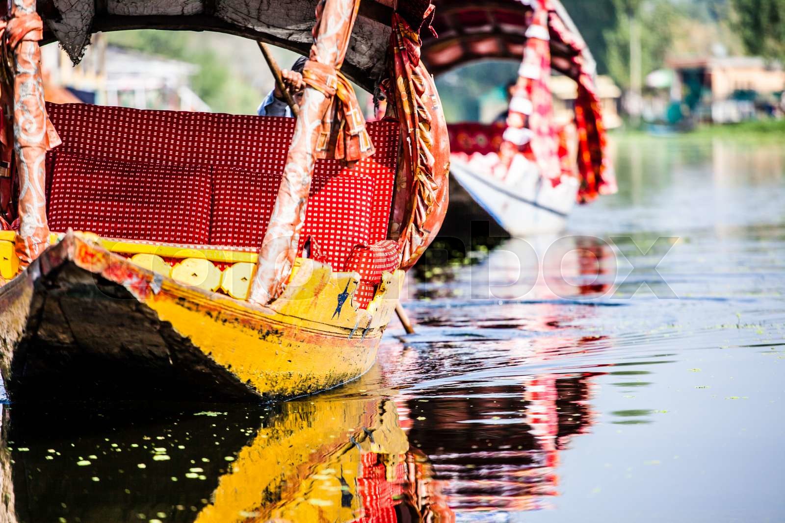 Shikara boat in Dal lake , Kashmir India | Stock image | Colourbox