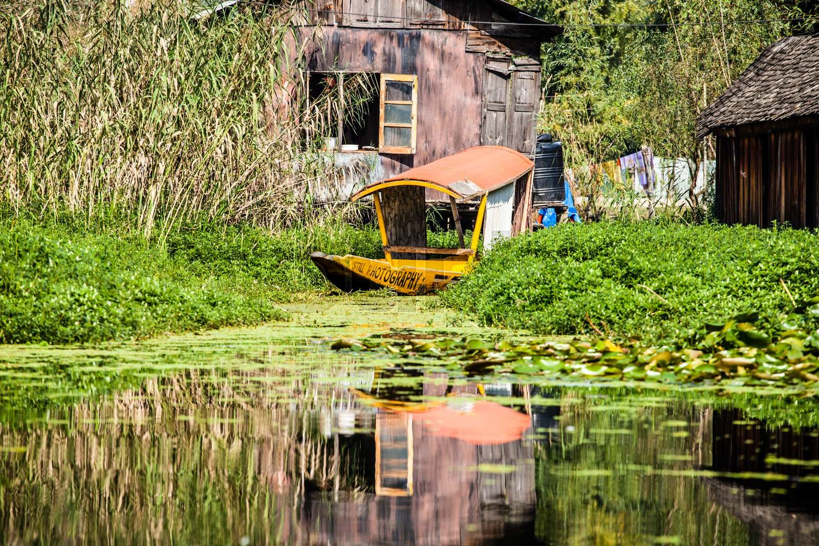 Shikara boat in Dal lake , Kashmir India | Stock image | Colourbox