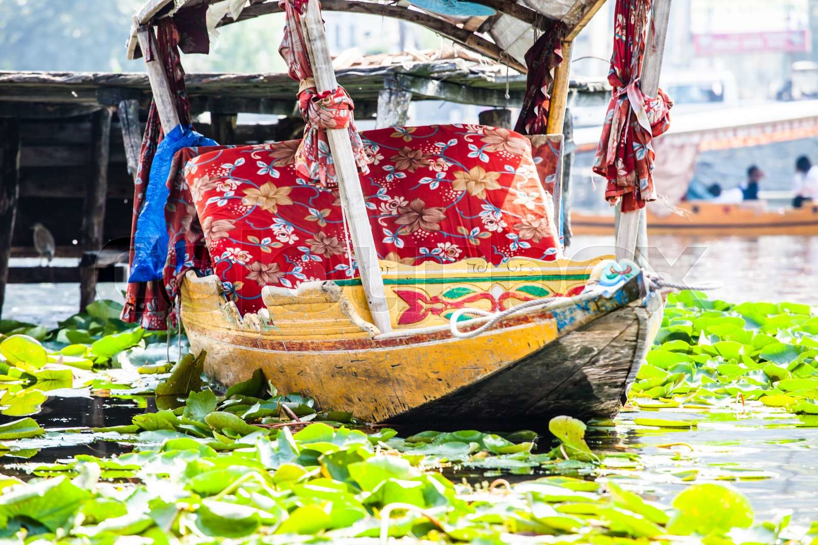 Shikara boat in Dal lake , Kashmir India | Stock image | Colourbox