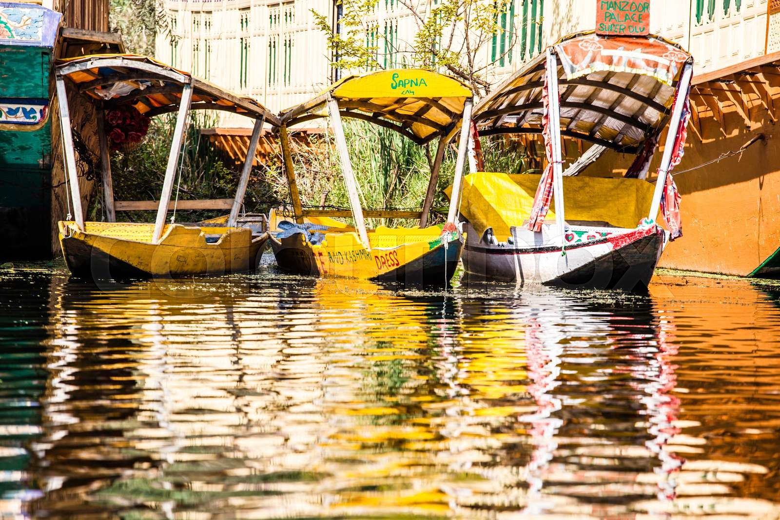 Shikara boat in Dal lake , Kashmir India | Stock image | Colourbox