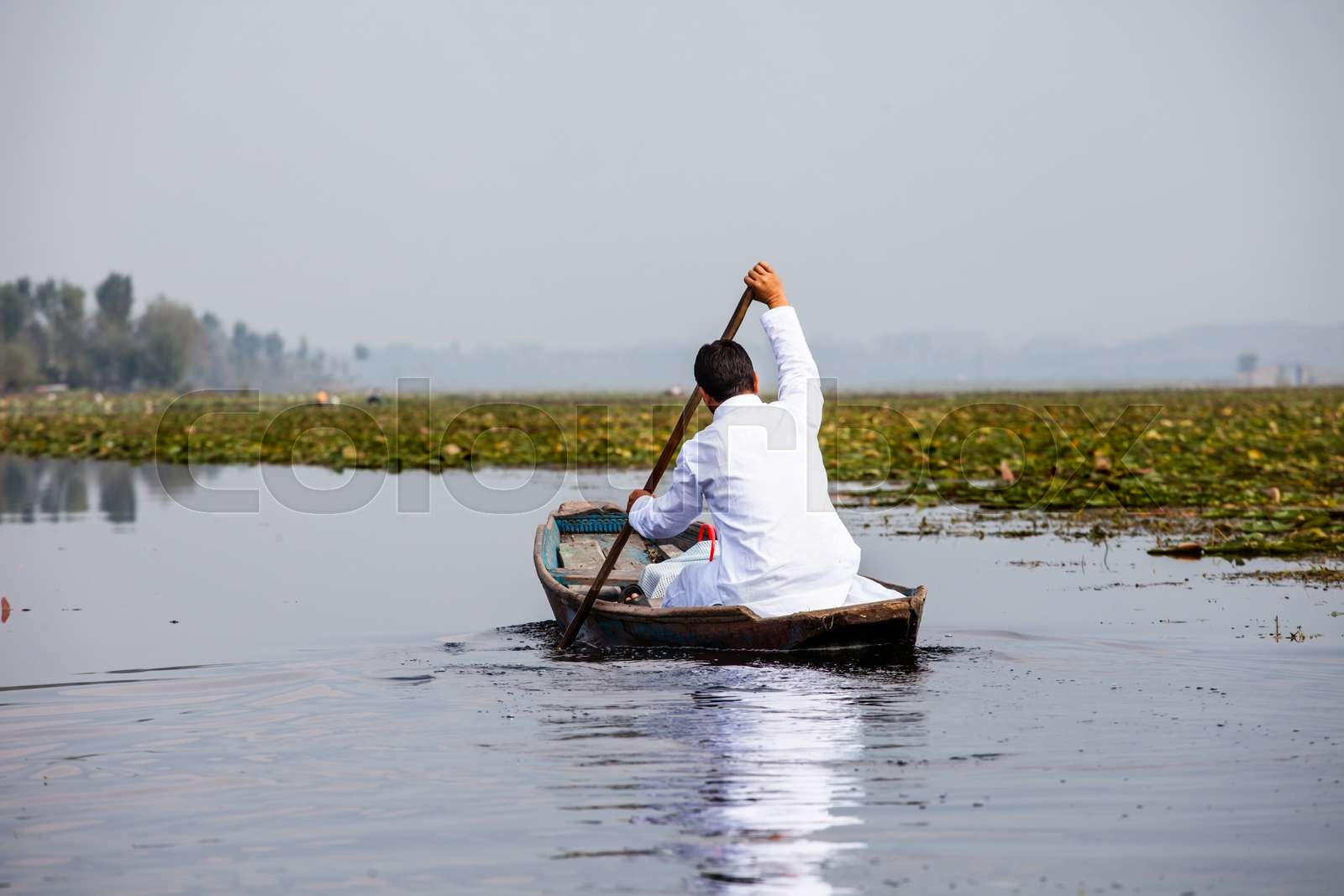 Shikara boat in Dal lake , Kashmir India | Stock image | Colourbox