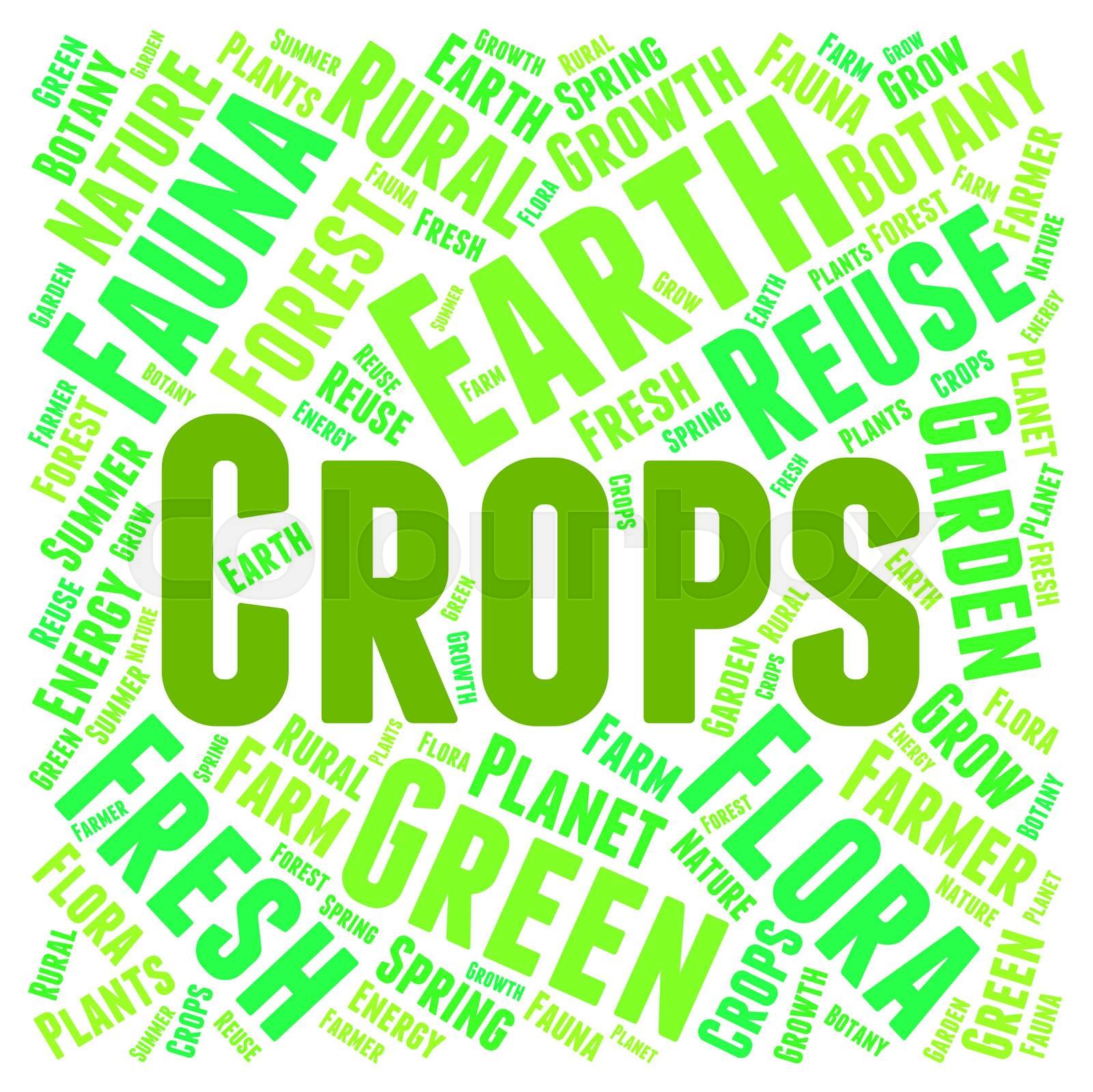 Crops Word Means Plant Grains And Yield | Stock image | Colourbox