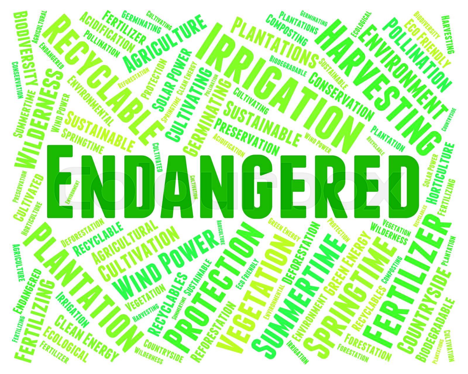 Endangered Word Represents At Risk And Endangers | Stock image | Colourbox