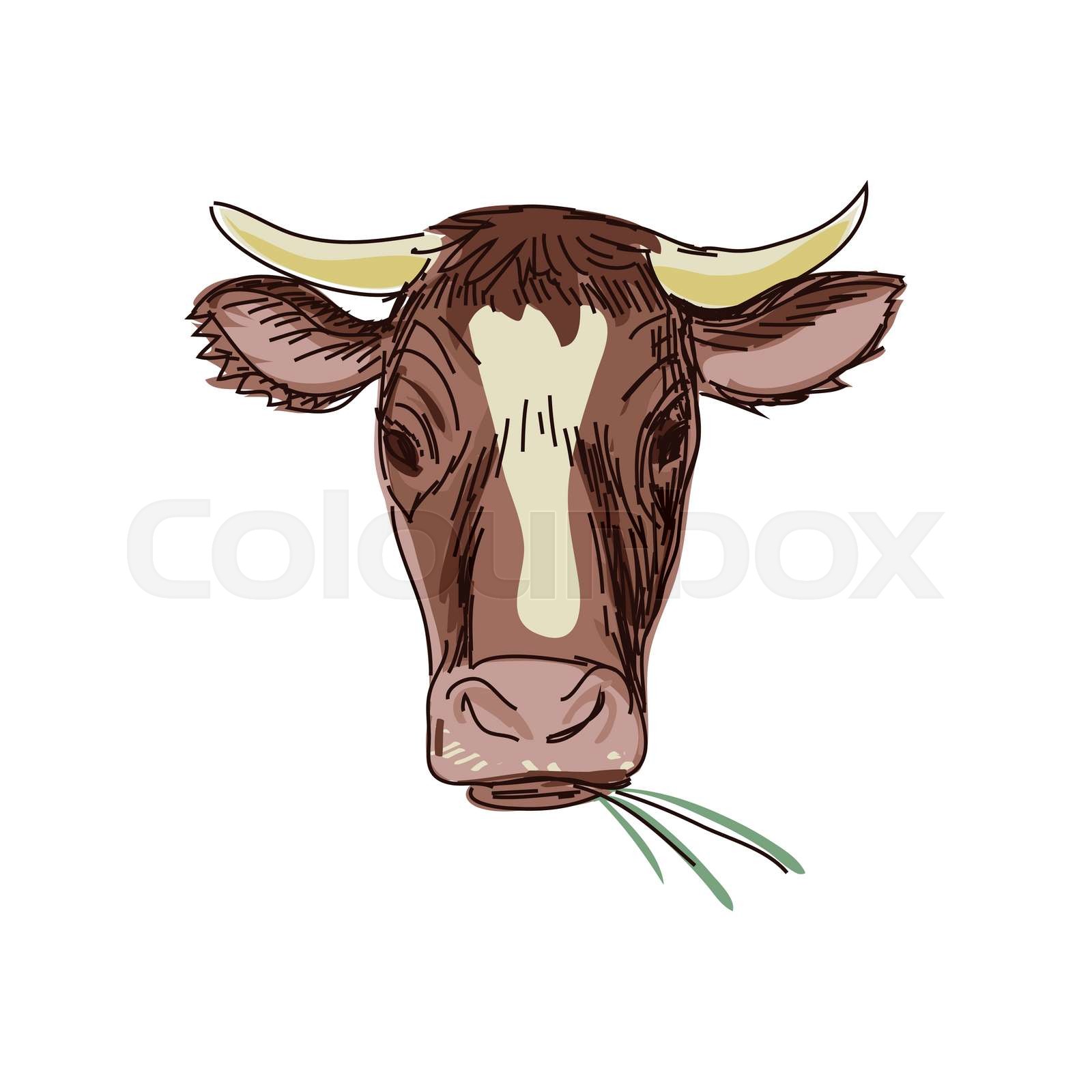 Cattle Doodle