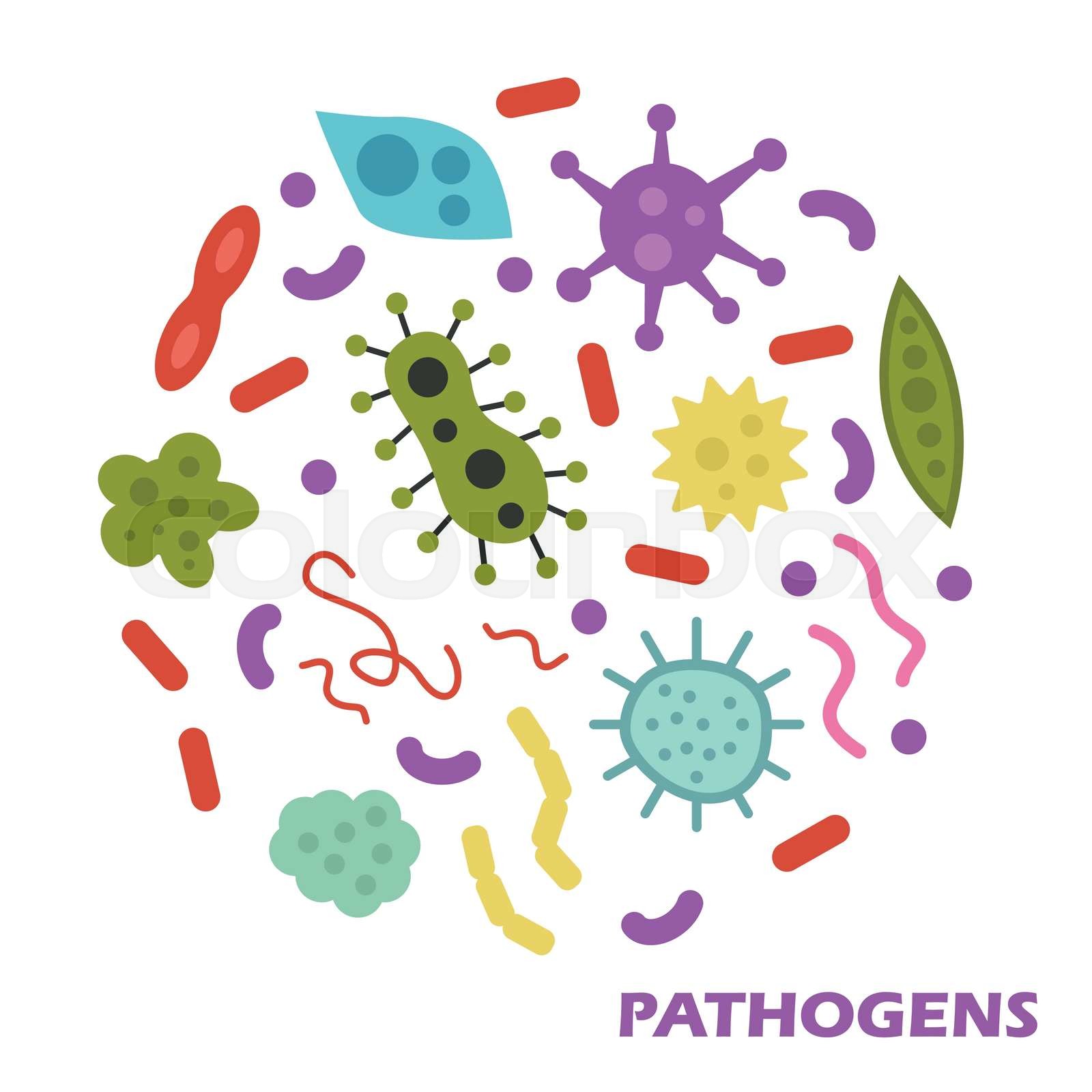 pathogens flat design | Stock vector | Colourbox