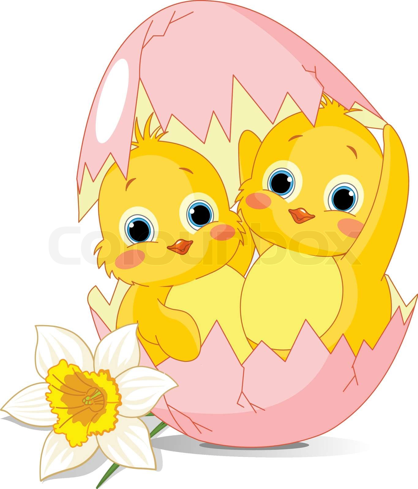 To Påske kyllinger udklækket af et æg | Stock vektor | Colourbox