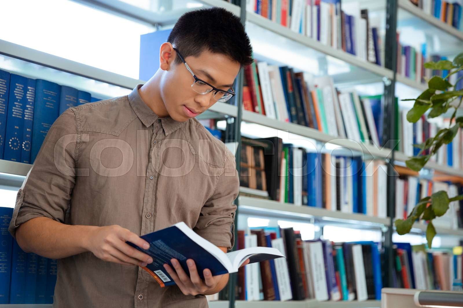 Asian man reading book in library | Stock image | Colourbox